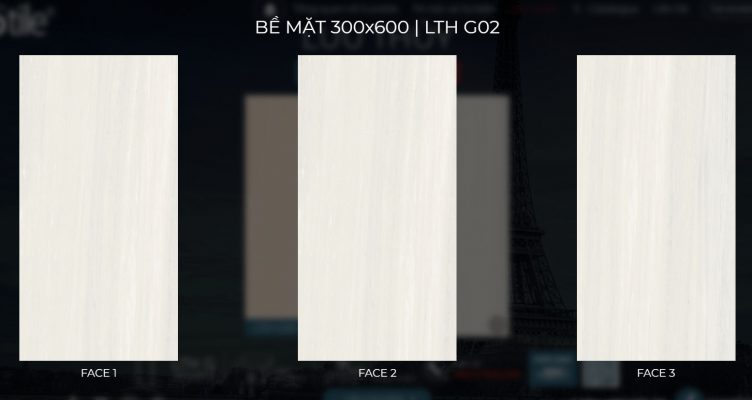 Gạch Eurotile 300x600 Lưu Thủy Mã SP: LTH G02